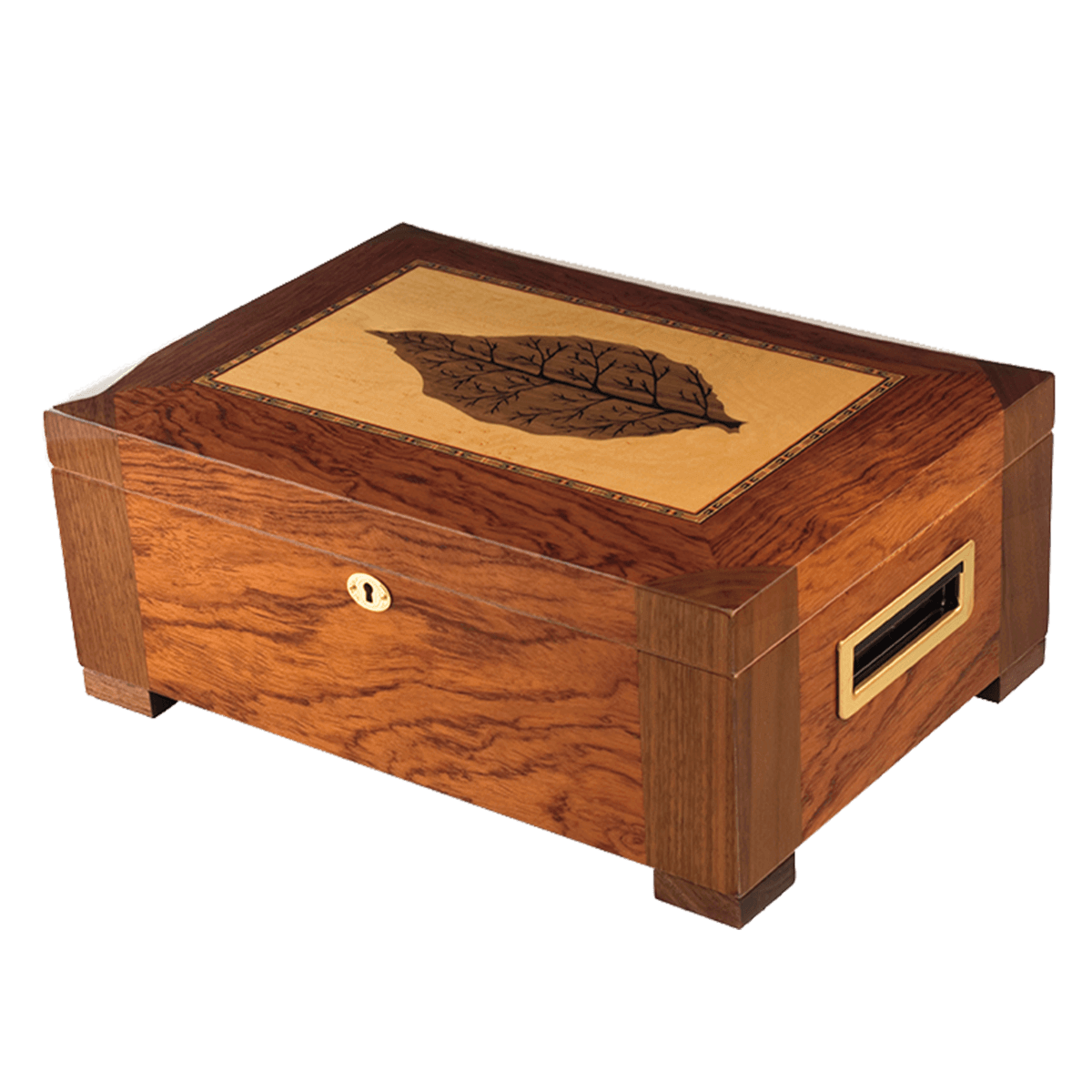 Humidor Supreme Cigar Humidors| Cuban Lou's Cigar Company